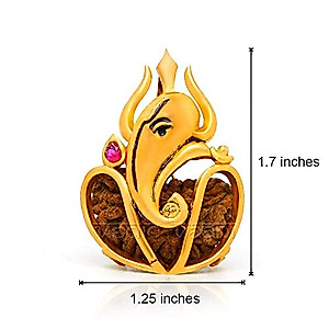 Vedic Vaani Certified 1-14 Mukhi Siddhi Java Rudraksha Bracelet | 1-Face Ek Mukhi Ganesha Vighnaharta Rudraksh Locket (Pack of 2)