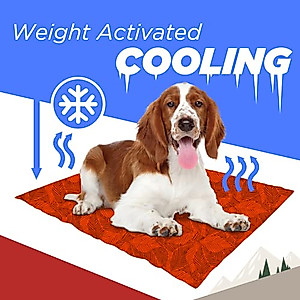 Coleman Reversible Cooling Pet Mat, Medium, 24" x 30", Red and Coral