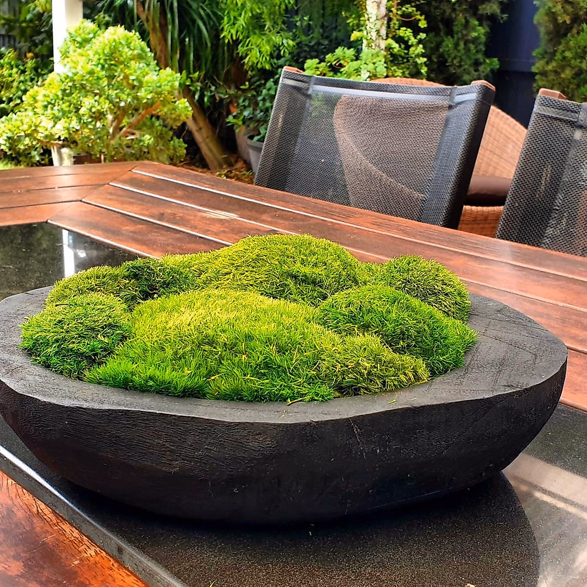 Prefleur Preserved Pole Moss Pillow Bun Cushion Natural Green Decorative Real Natural Green DIY Kit Terrariums Gardenning Art Wall Decor Florist Decor Easter Table Wedding(1.5 sq.ft, Green-B)