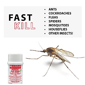 Punch Bug Bomb | 100% Kills Mosquitoes, Cockroaches, Fleas, Ants, Houseflies & More | Commercial-Grade Fogger | Easy-to-Use | Non-Staining, Water-Base Formula (6 oz Each) (1 Each)