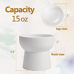 Qucey Ceramic Cat Food and Water Bowl Set, Raised Tilted Cat Feeder Dishes with Stand, Elevated Pet Food Bowl for Cats and Small Dogs, Anti Vomiting & Reduce Neck Burden