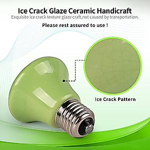 100W Mini Reptile Heat Lamp Bulb 4 Pack, Pet Infrared Ceramic Heat Emitter for Amphibian, Brooder Coop, Aquarium, Lizard, Lambs, Snake, No Light, Green
