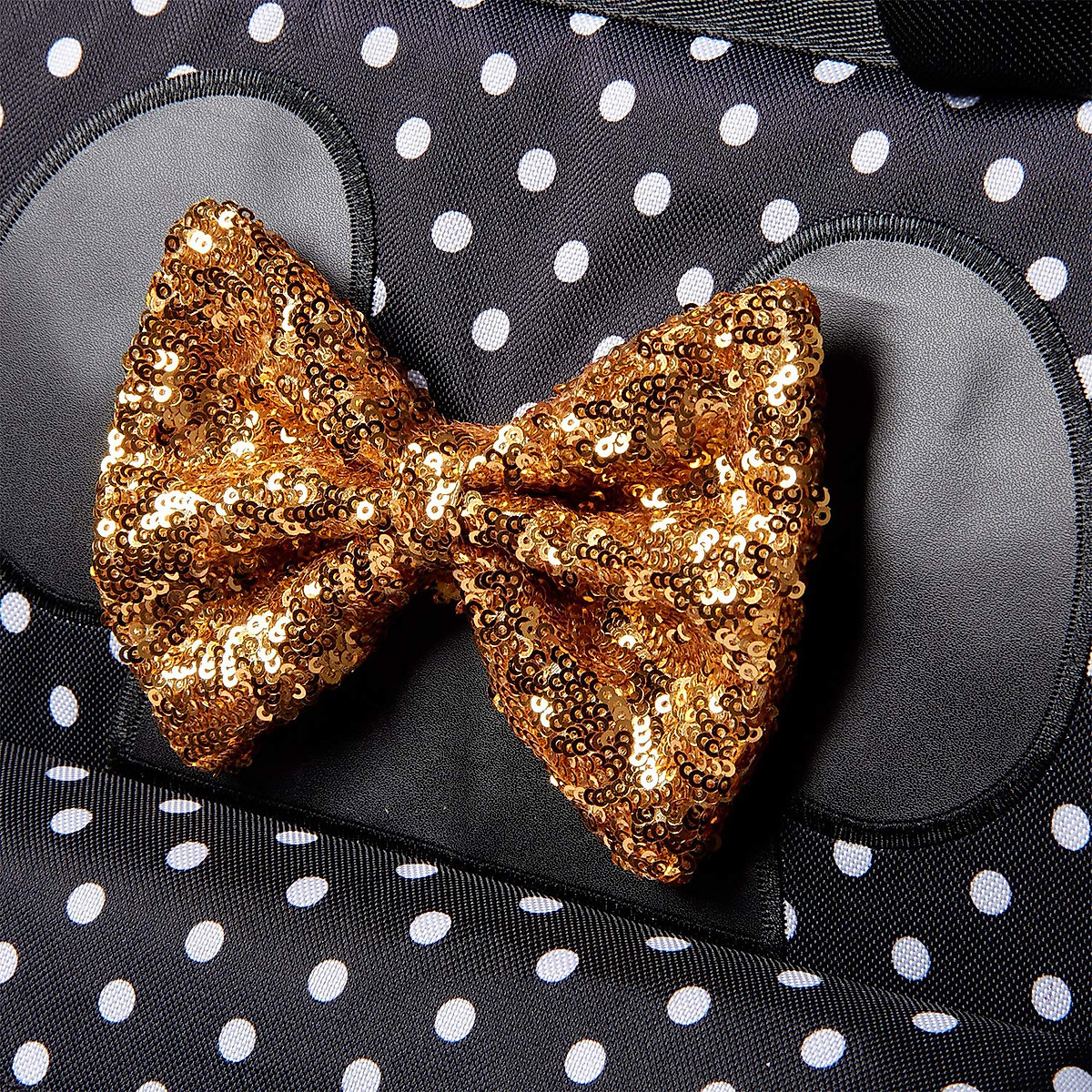 Igloo Limited Edition Disney Decorated 20-24 Can Soft Sided Bags