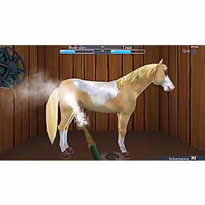 My Riding Stables - Life with Horses - PlayStation 4