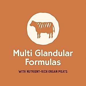 Cave Pets, Super Blend Powder, Dog Probiotic for Digestive Health and Microbiome Support, Multi-Glandular & Turmeric, 30 Servings