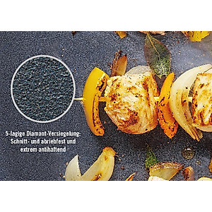 Woll Norbert Diamond Lite 1728DPI Induction Cast High-Rim Pan AS 28 cm/7 cm/3.5 litres Black