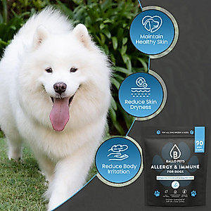 Ballo Pets Allergy & Immune Chews for Dogs - Itch Relief for Dogs - Dog Seasonal Allergies- Skin and Coat Supplement - Omega 3, Pumpkin Powder, Turmeric Root, Quercetin- 90 Soft Chews- Salmon Flavor