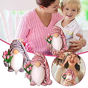 IFOTIME Mr & Mrs Gnomes Plush, Handmade Long Hat Gnome Swedish Scandinavian Tomte Sweet Gift for Table Shelf Home Decorations for Valentine Easter Gifts Indoor Spring Decor (2Pcs, Pink + Gray)