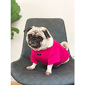 Ollypet Dog Dress and T-Shirt Set of 2 Cute Dog Clothes for Small Dogs XS-XL 2-Pack (X-Small)