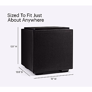 Definitive Technology Descend DN8 8" Subwoofer (2021 Model) - Digitally Optimized for Movies & Music, New 3XR Architecture, 500W Peak Class D Amplifier & (2) Pressure-Coupled 8" Bass Radiators, Black