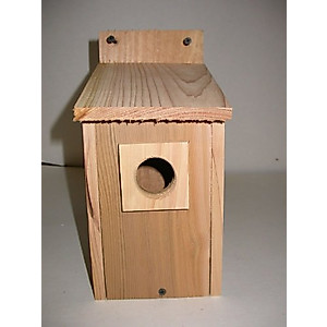 Cedarnest Bluebird Houses 8