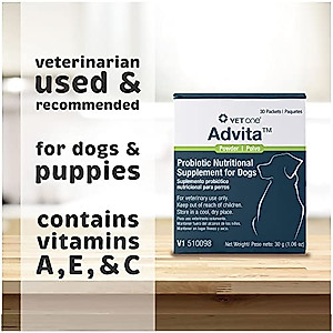 VetOne Advita Probiotic Nutritional Supplement for Dogs - 30 Packets