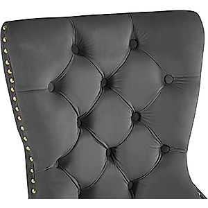 Meridian Furniture Carmen Collection Velvet Upholstered Dining Chair with Sturdy Gold Metal Legs, Set of 2, Grey