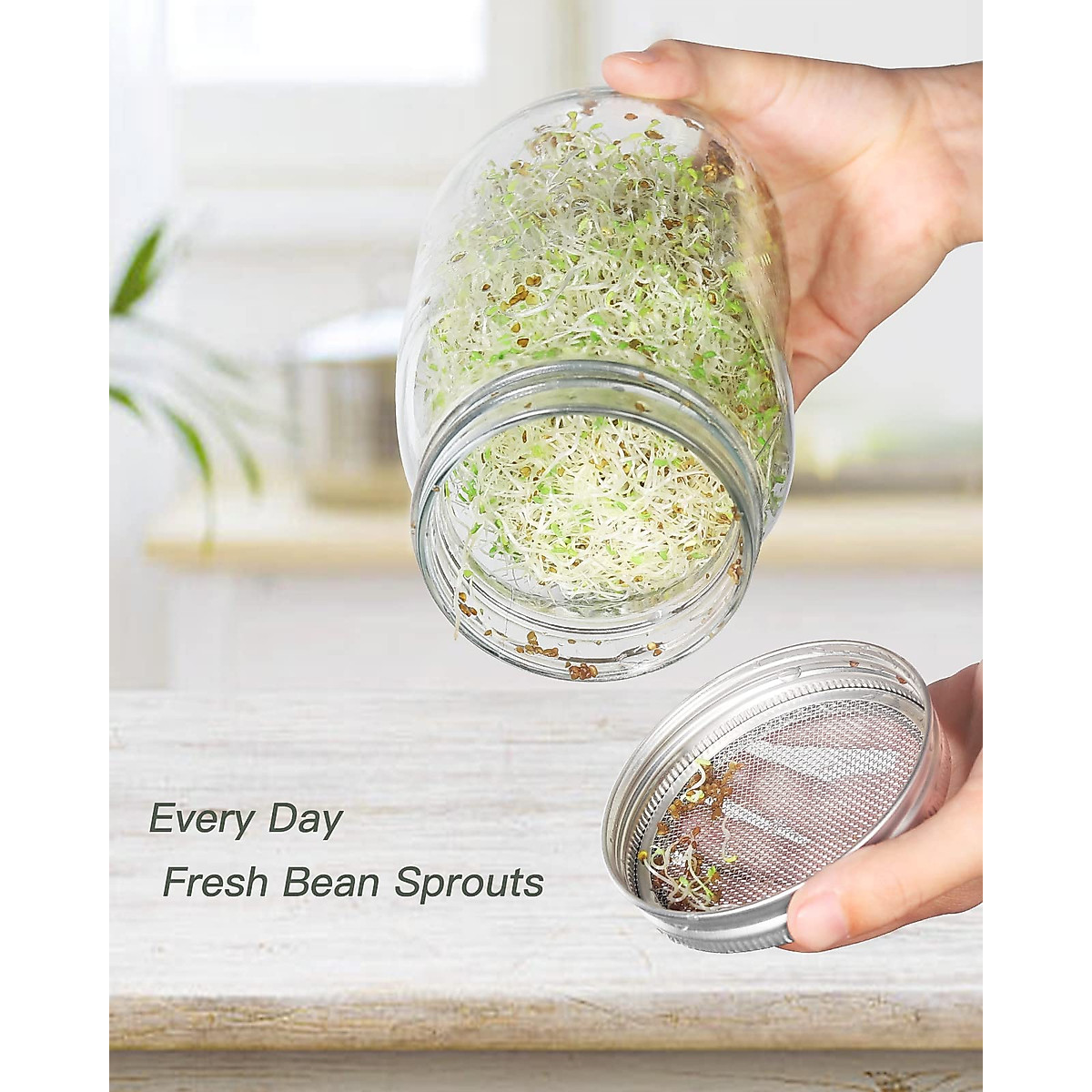 FEBFLO 12 Pack Sprouting Lids, 316 Stainless Steel Screen Lid for 86mm Wide Mouth Mason Jar, Mesh Bean Sprout Sieve Lids, Home Use Alfalfa, Broccoli,Lentil. QurHapzy (12 lids)