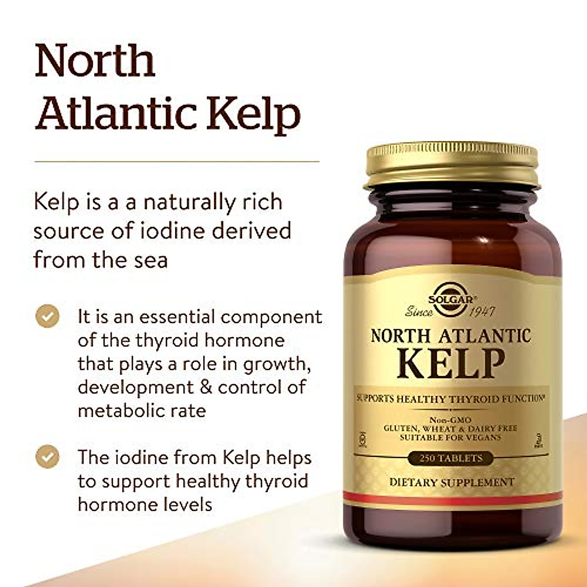 Solgar North Atlantic Kelp, 250 Tablets - Natural Source of Iodine - Supports Healthy Thyroid Function - Gluten Free, Dairy Free, Kosher - 250 Servings