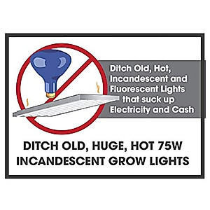 Miracle LED Tight Focus LED Full Spectrum Daylight Single Plant Growing Bulb 6W Replacing 75W Incandescent Grow Light,White