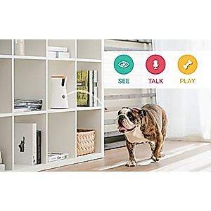 Furbo Dog Camera (2 Pack): Treat Tossing, Full HD WiFi Pet Camera and 2-Way Audio, Designed for Dogs, Compatible with Alexa (As Seen On Ellen)