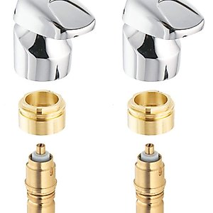 Moen 52120 Commercial Metering Conversion Kit, Chrome