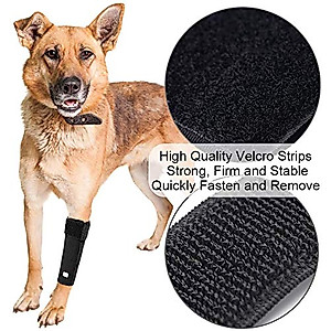 IN HAND Dog Leg Brace, Pair of Dog Canine Leg Wrap Front Leg Compression Brace with Metal Strips & Safety Reflective Straps, Protects Wounds Brace Heals and Prevents Injuries and Sprains