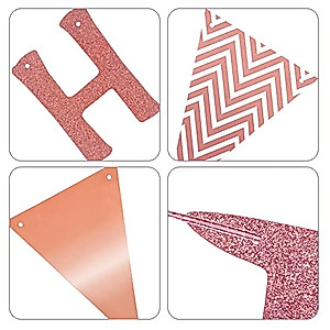 Older Wiser Hotter Banner, Funny Birthday Party Decorations for Adults, Rose Gold Glitter Party Supplies for Women, 30th 40th 50th 60th 70th 80th Bday Triangle Flags Sign Decor