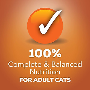 Purina Friskies Gravy Wet Cat Food Variety Pack, TurChicken Extra Gravy Chunky, Meaty Bits & Shreds - (Pack of 40) 5.5 oz. Cans