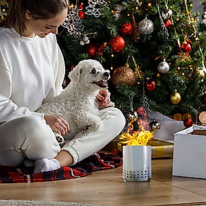 Tabletop Fire Pit,Mini Fire Pit With Stand,Stainless Steel Table Top Fireplace, Wood Burning Fireplaces,Portable Indoor Fire Pit,Fueled By Grain Or Wood,Safe Burning,for Indoor Outdoor Tabletop Fire P