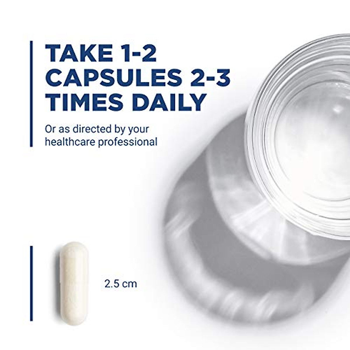 Vital Nutrients - Carnitine - Cardiovascular and Fat Metabolism Support - L-Carnitine Supplement - Heart Health Support - Supports Fatty Acid Transport - 60 Vegetarian Capsules per Bottle - 500 mg