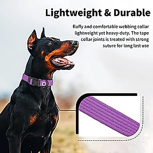 lynxking Dog Collar Soft Padded Breathable Cotton Solid Color Strong Adjustable Pet Collar for Little Puppy
