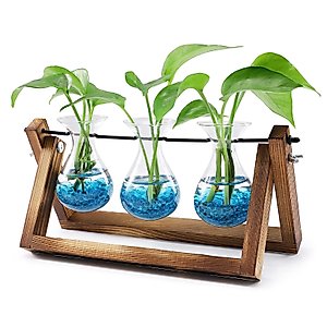 XCC Plant Propagation Station - 3 Bulb Vase, Perfect Home and Office Decor, Ideal Gift for Women, Beautiful Garden Decoration, Great Birthday Gift for Planter Lover