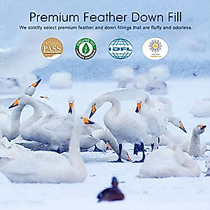 KASENTEX California King Size Down Comforters - All Season Down Comforter California King Size Down and Feather Filling - 100% Cotton Cover Duvet Insert - Stand-Alone Down Comforter, Light Grey