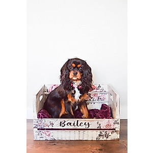 Rub on Transfers for Furniture and Crafts | 3 Design Sheets 11” x 17” Each | Home Décor Transfers | Furniture and Craft Decals | by Thymeless Designs (Spring in Marseille)