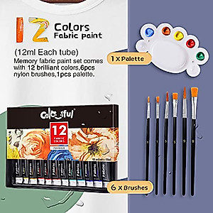 COLORFUL Fabric Paint Set for Clothes with 6 Brushes, 1 Palette, 12 Colors - Permanent Textile Paint Puffy Paint Kit for Shoes, Canvas - Non-Toxic Slick Painting Set for Adults, Beginner & Artists