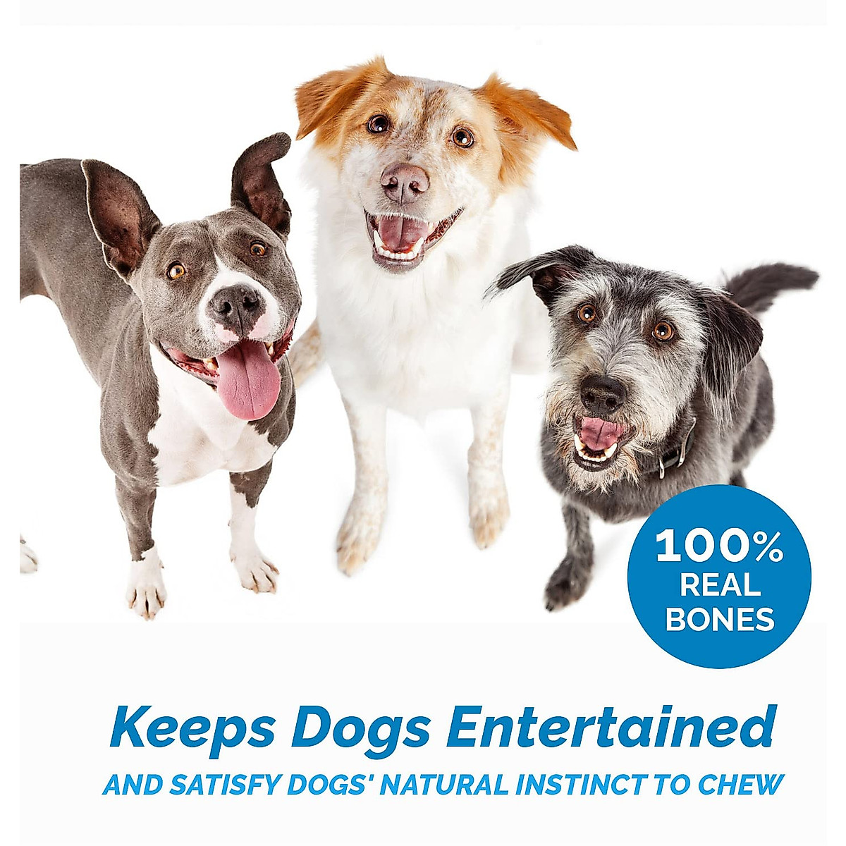 123 Treats - Meaty Dog Bone Treat - Large 100% Natural Pork Chews for Dogs Dog Bones for Aggressive Chewers (Pork, 2 Count)