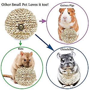 SunGrow Cat Sisal Rope Scratcher Ball & Ferret, Rabbit Anti Chew Shoe, Stop Chewing & Scratching Furniture, Teething for Guinea Pigs, Chinchillas, Pocket Pets, 1 Pack