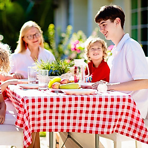 12 Pack Red and White Plastic Checkered Tablecloth, Premium Decorative Disposable Red Gingham Plaid Table Cloths for Parties, Rectangle Party Table Cover for Picnic Farm Birthday Wedding, 54x108 Inch
