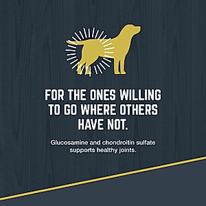 Black Gold Explorer Beef Meal & Barley Recipe Dry Dog Food