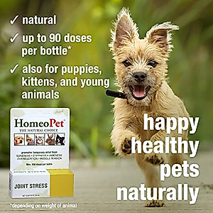 HomeoPet Joint Stress, Joint-Function Support for Dogs, Cats, and Pets, 15 Milliliters