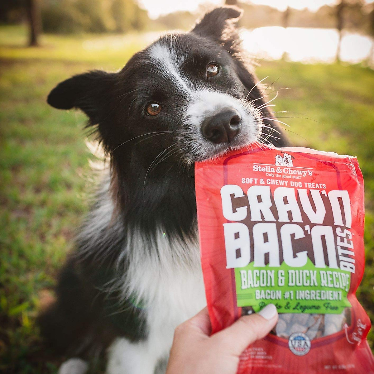 Stella & Chewy's Crav'n Bac'n Dog Treats Bacon & Duck Recipe, 8.25 oz. Bag