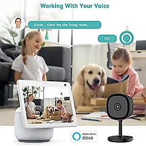 LaView 3MP Cameras for Home Security,2K Indoor Security Camera for Baby/Elder/Pet with Clear Night Vision,24/7 Live Video,Motion Detection,2 Way Audio,US Cloud/SD Card Storage,Compatible with Alexa