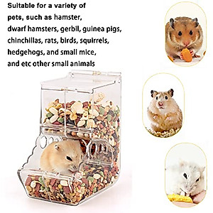 Lucky Interests 2 pcs Hamster Automatic Feeder 400ml, Hamster Food Dispenser with Brackets Small Animals Food Bowl for Dwarf Hamster Guinea Pig Chinchilla Gerbil Bird Hedgehog Ferret with 2 Spoon
