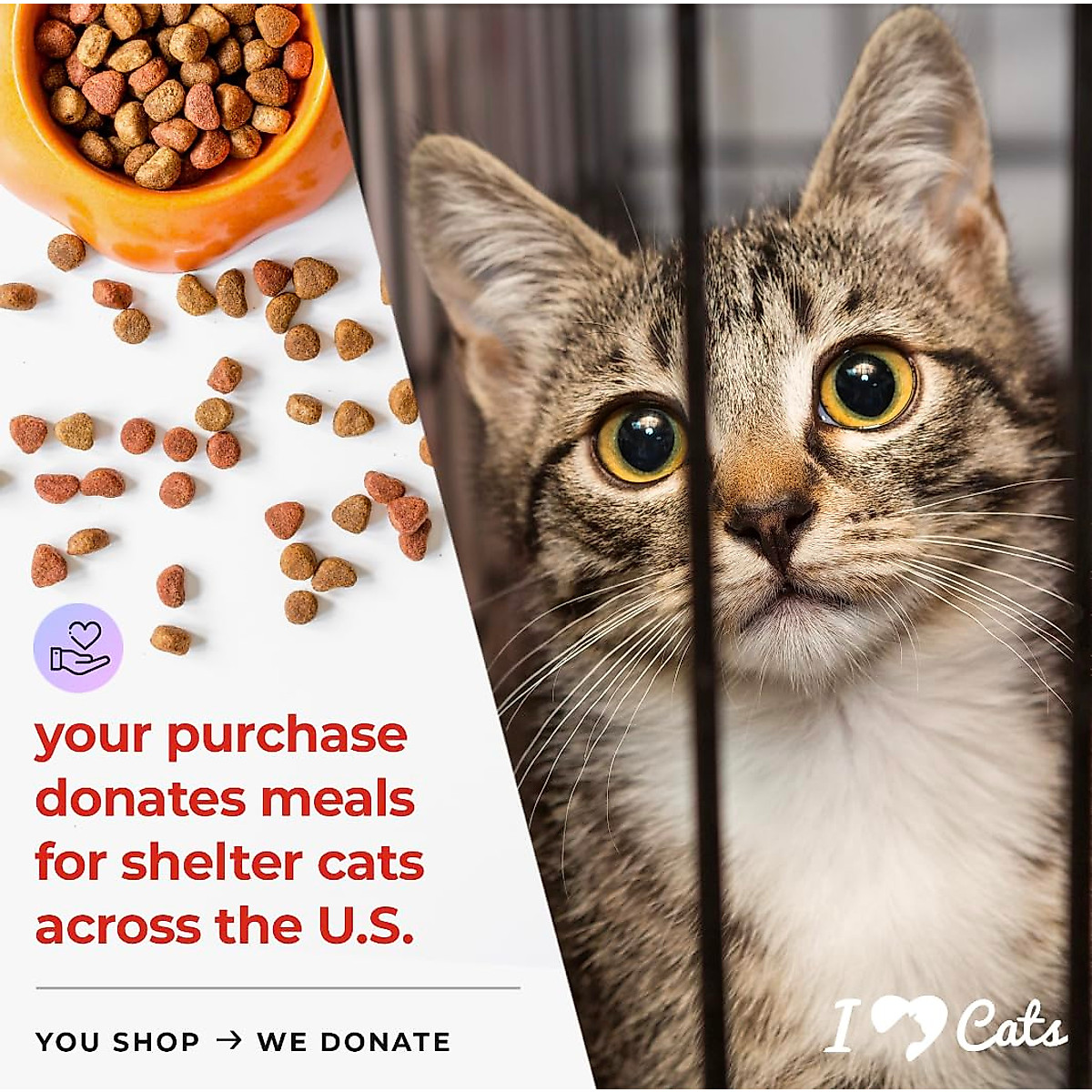 iHeartCats Bone Broth for Cats - Bone Broth & Mushroom Gold Powder Supplement for Immune System Support, Improved Mobility & Flexibility and Natural Detox - Turkey Tail Mushroom for Cats