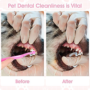 Abeillo 4Pcs Dual Headed Pet Tooth Brush, Small Dog Toothbrush, Cat Dental Care with Micro Brush, Cat Toothbrush, Cat Dental Care Supplies - Pet Toothbrush for Small Dogs, Cats