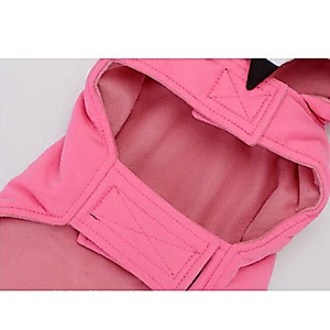 Warm Cotton Cold Pet Dog Cosplay Weather Outdoor Vest Thicken Lpink Fleece Coat Apparel - Cloak Clothes Flamingo Party Hooded Favors Pinksize Coats Hoodie Sweatshirt Funny Costume