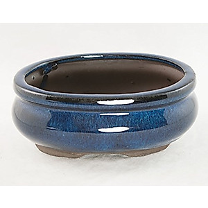 Oval Mame Shohin Bonsai/Cactus & Succulent Pot + Mesh 5"x 4"x 2" - Dark Blue Glazed