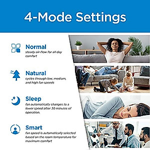 BLACK+DECKER Evaporative Air Cooler - Portable Cooling Fan with LED Display, Remote Control, 2-Gallon Water Tank - Compact and Lightweight Design - 2 Casters and 2 Wheels for Easy Mobility