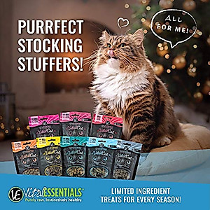 Vital Cat Freeze-Dried All-Natural Minnows Cat Treats, 0.5 oz.
