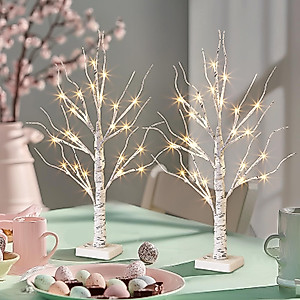 PEIDUO Easter Decorations for The Home, Set of 2 Easter Tree Battery Powered Timer, Lighted Birch Tree with LED Lights, Mantle Decor Lighted Trees for Decoration Inside (2FT Warm White)
