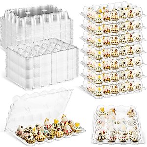 24 Pack Mini Cupcake Containers, 24 Count, Disposable Plastic Small Cupcake Boxes Bulk, High Dome Lid Cupcake Holder Cupcake Carriers for Transporting Small Cupcakes with Tall Icing