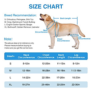 Dog Back Brace Arthritis, Adjustable ivdd Pet Support and Rehab Harness for Spinal Injury for Dachshund, Soft Hip Leg Support Helps Pain Relief, Corgi Spinal Surgical Recovery and Rehabilitation (M)