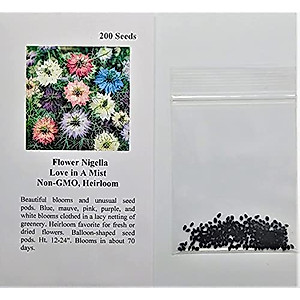 David's Garden Seeds Flower Nigella Love in A Mist 1532 (Multi) 200 Non-GMO, Heirloom Seeds